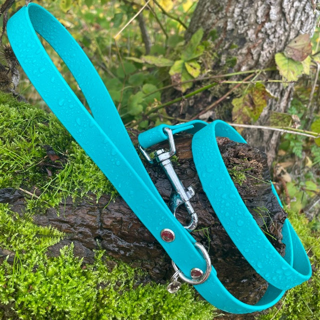 BioThane® Standard Waterproof Dog Lead – Golden Unleashed