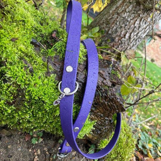 Classic Leads – Golden Unleashed